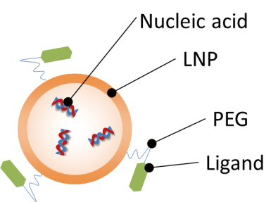 油化産業株式会社｜DDS Drug Delivery Systems リポソーム用リン脂質