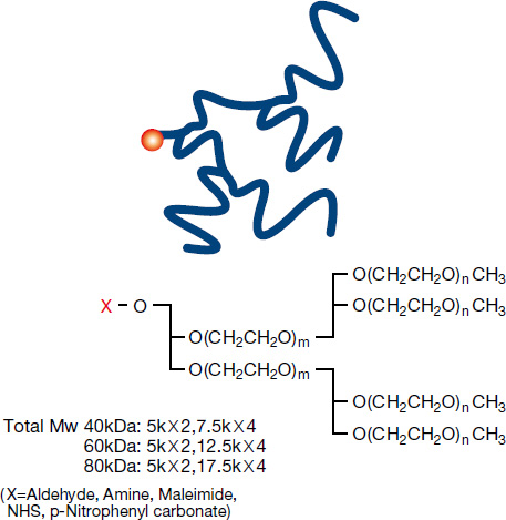 油化産業株式会社｜DDS Drug Delivery Systems ポリエチレングリコール修飾剤